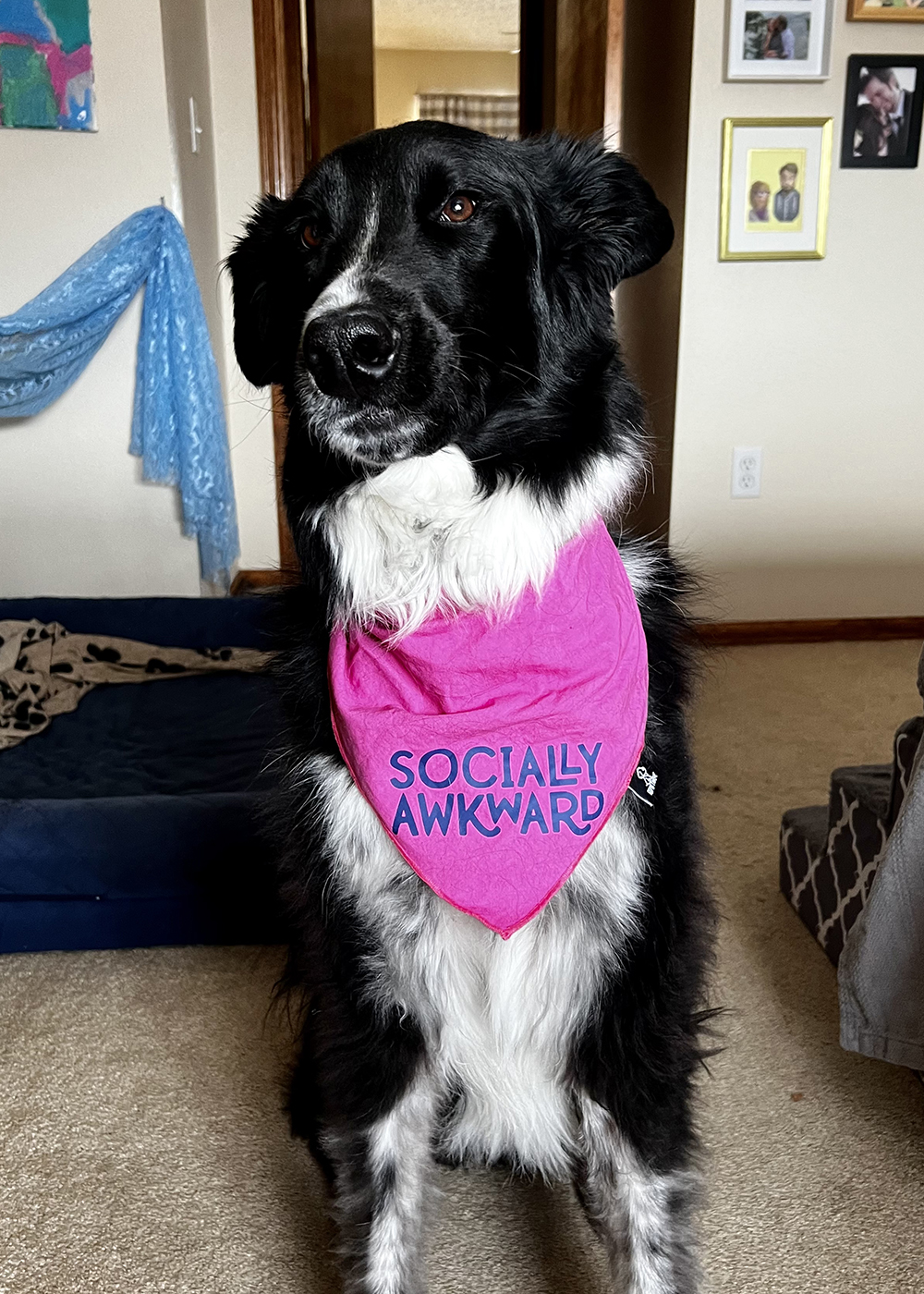 Adoption Profiles Book | Adoptive Parent Profiles | Family profile for ...